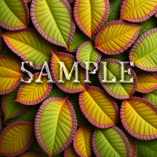 Second Life Marketplace - Zoy Texture [ Leaves 01 ] A